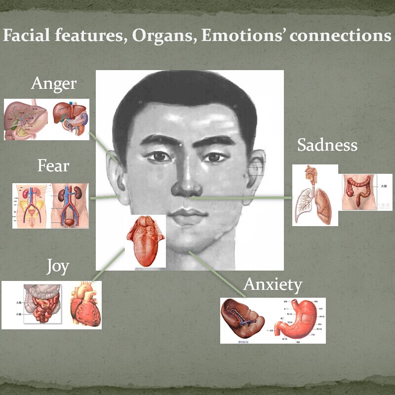 TCM Theory - Suns Acupuncture